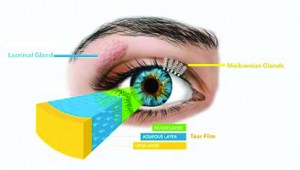 Dry Eye - Victoria Eye